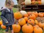 Swithens Farm Leeds - Family Day Out in Leeds - Family Activities