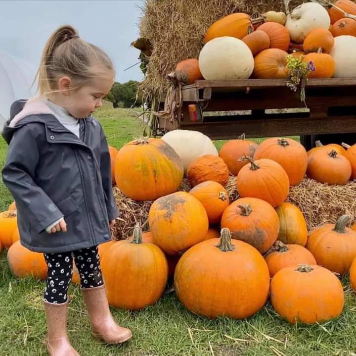 Events Archive - Swithens Farm