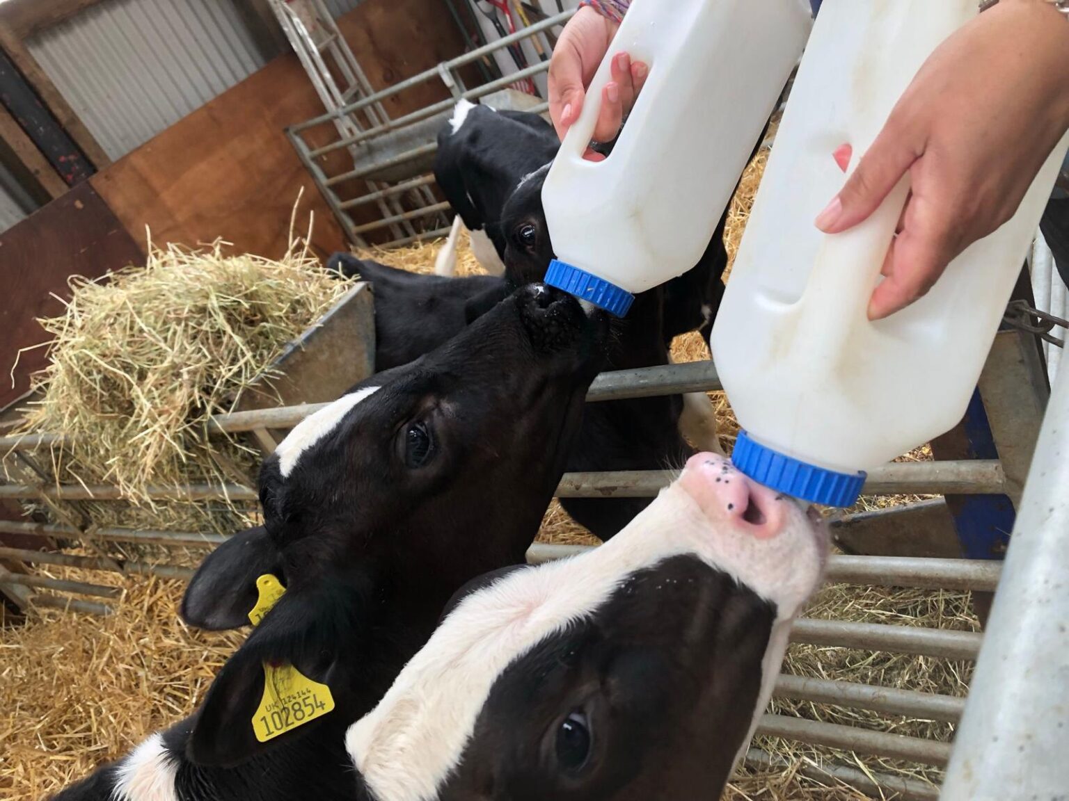 Swithens Farm Leeds - Family Day Out in Leeds - Family Activities